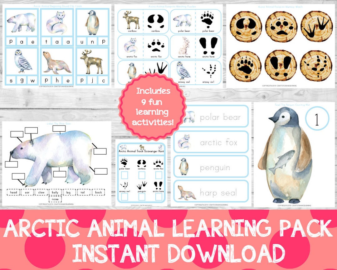 Arctic Animals Worksheets for Preschool – Garmur Design